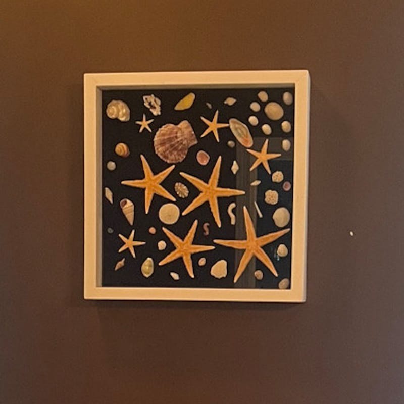 Shell Shadow Box - Etsy