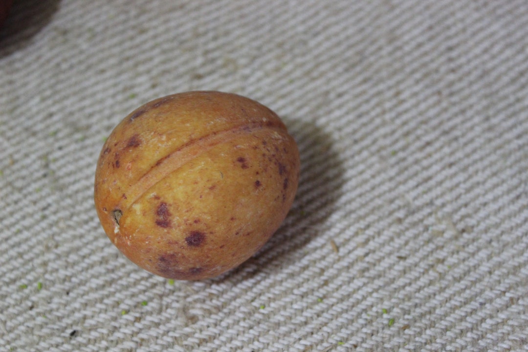 Vintage Marble Stone Nectarine Italy Faux Fruit Realistic Hand Painted ...