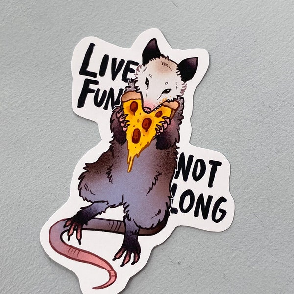 Furry Possum Sticker - Etsy UK