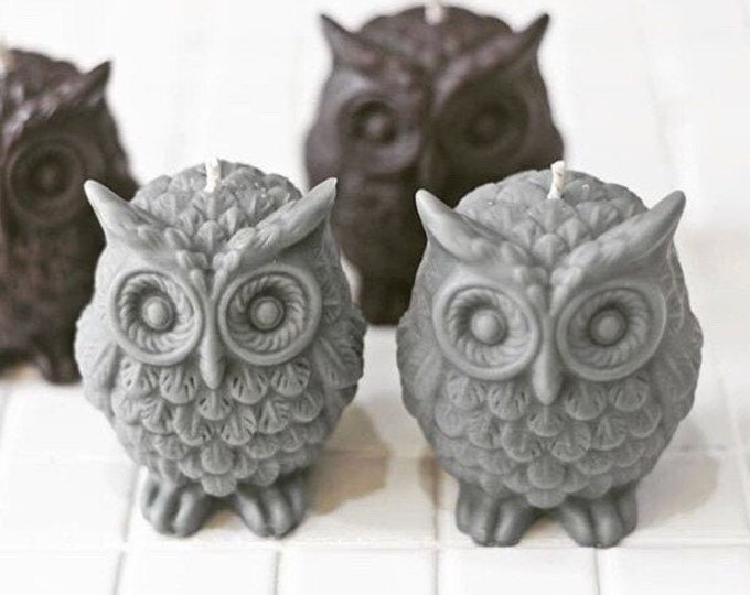 3D Big Owl Silicone Mold 1 Cavities Owl Soap Mold Animals - Etsy
