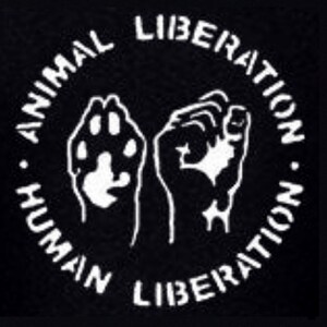 Animal Liberation/human Liberation T-shirt - Etsy