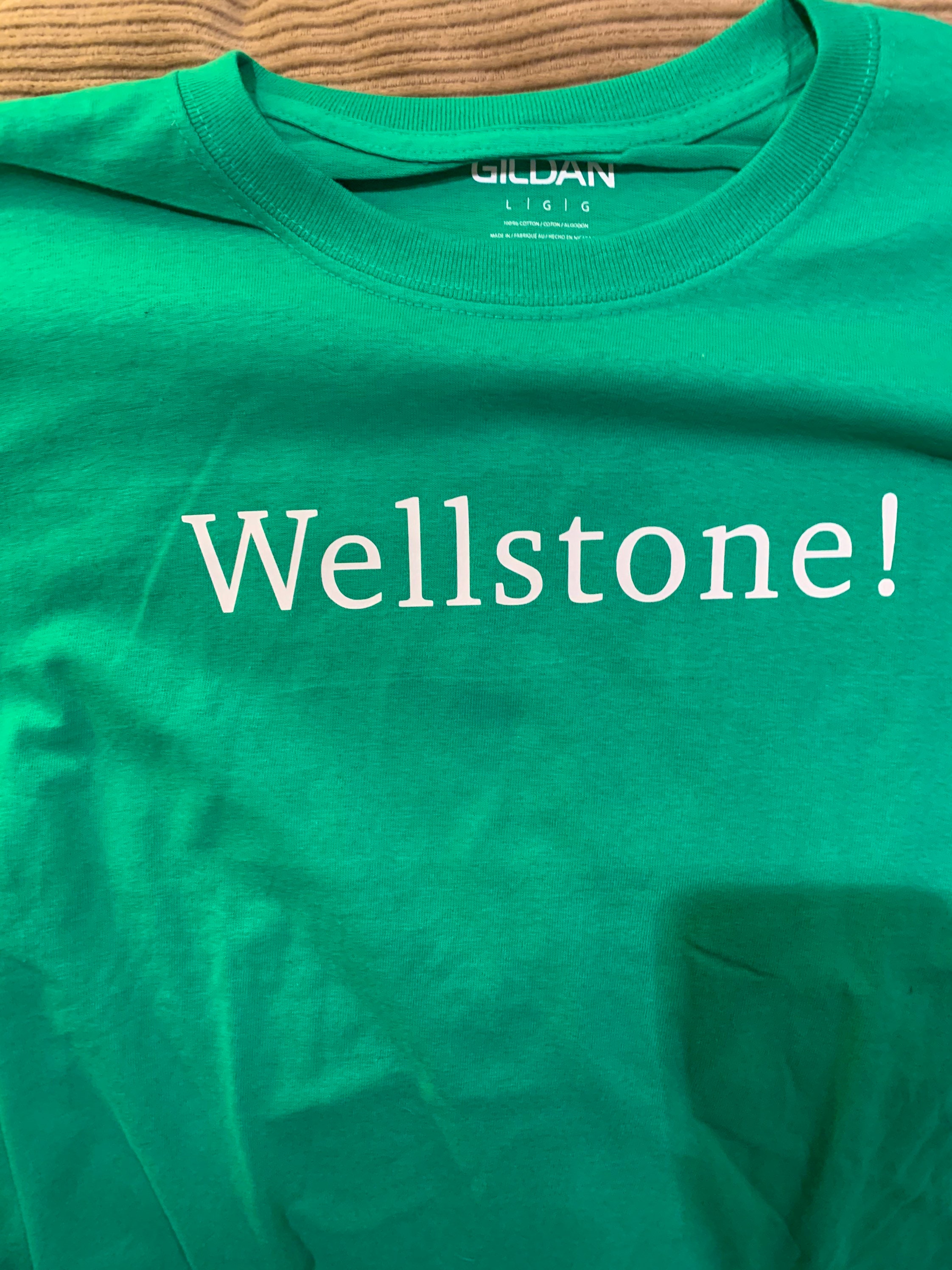 Wellstone T-shirt - Etsy