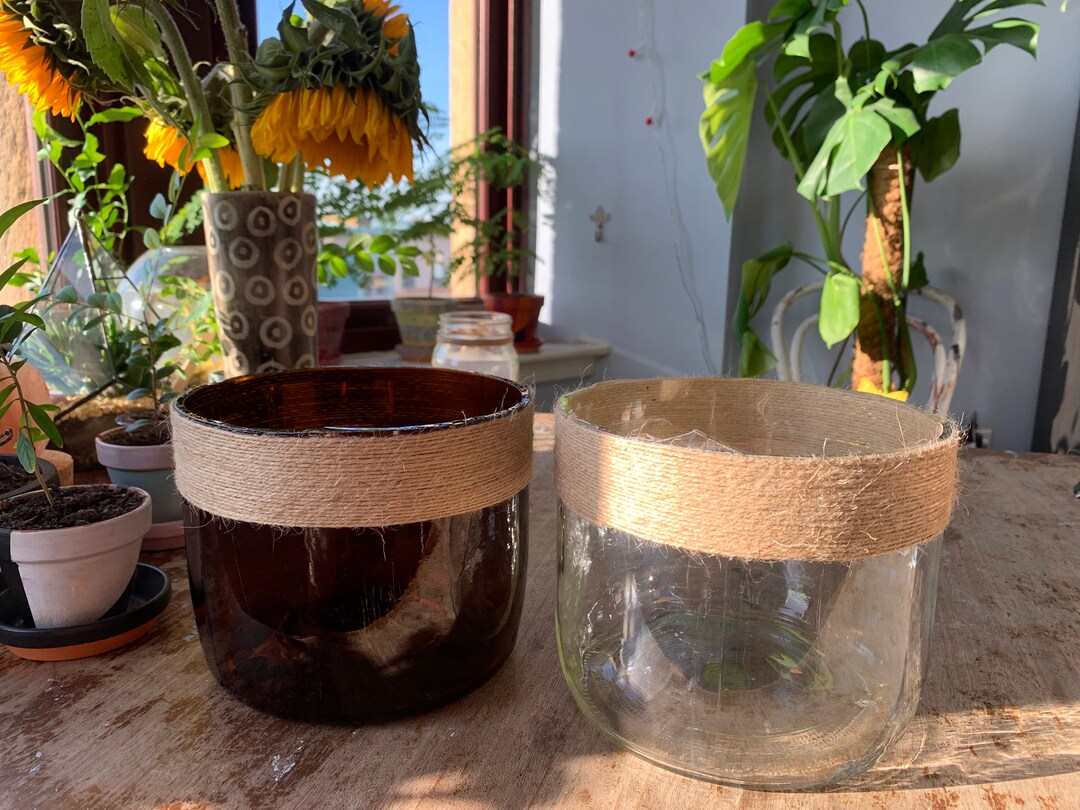 Indoor Plant Pot / Recycled Glass Planter / Recycled Demijohn Carboy ...