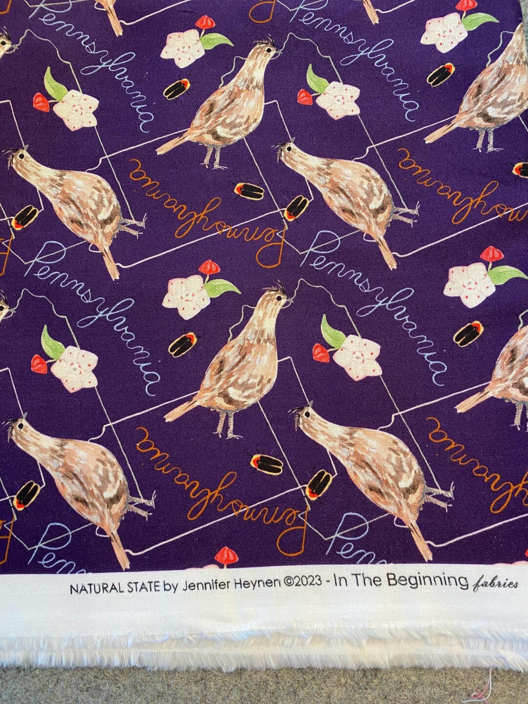 Pennsylvania State Cotton Quilt Fabric, in the Beginning Choice of Size ...