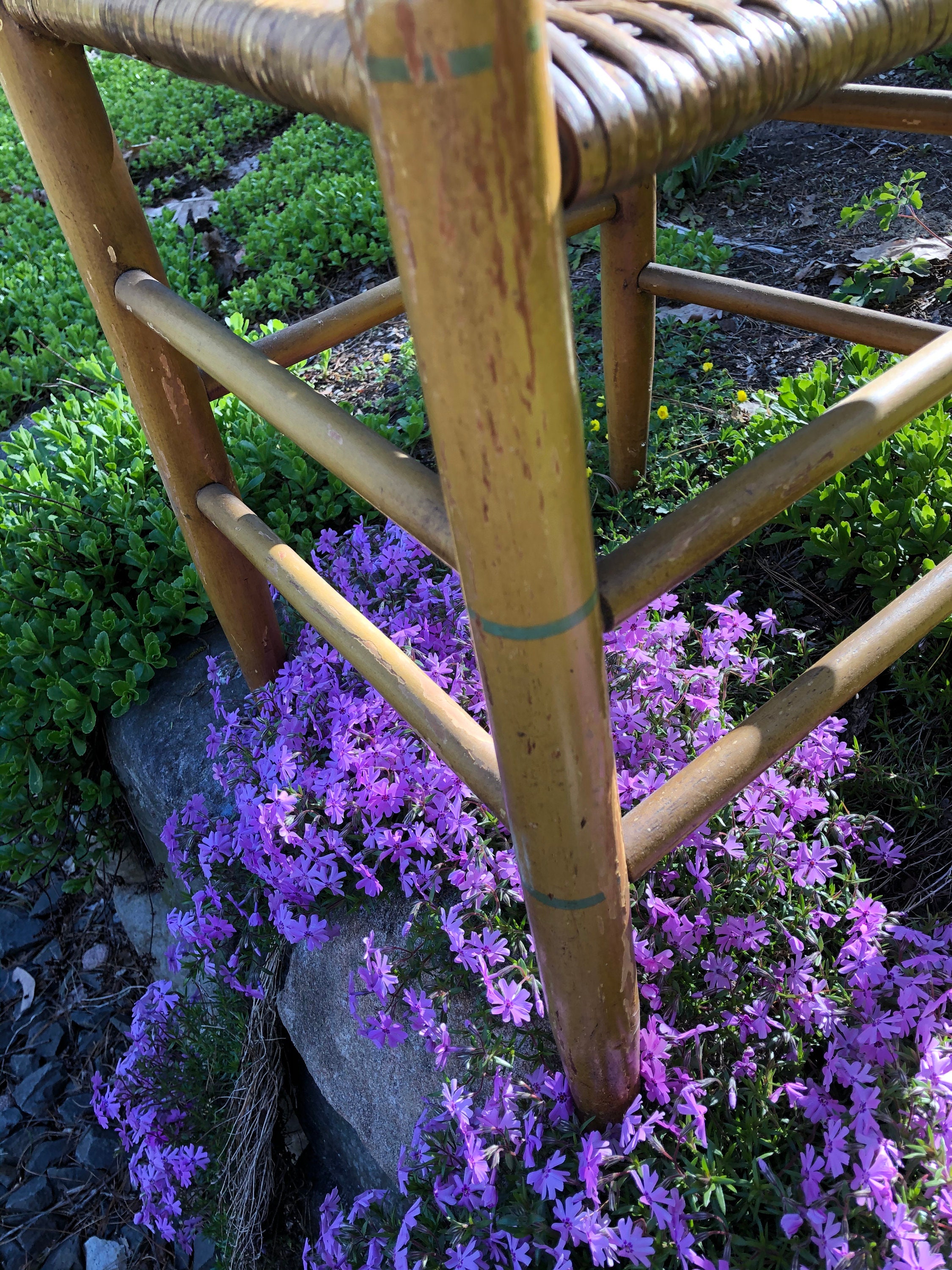 ANTIQUE LADDER BACK Chair Mustard Paint Original Rush Woven Seat ...