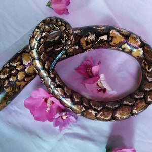 Snake Gourd Hand Painted Acrylic Paint Varnish - Etsy