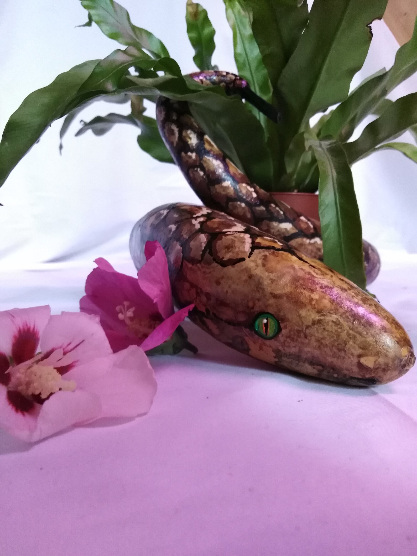 Snake Gourd Hand Painted Acrylic Paint Varnish - Etsy