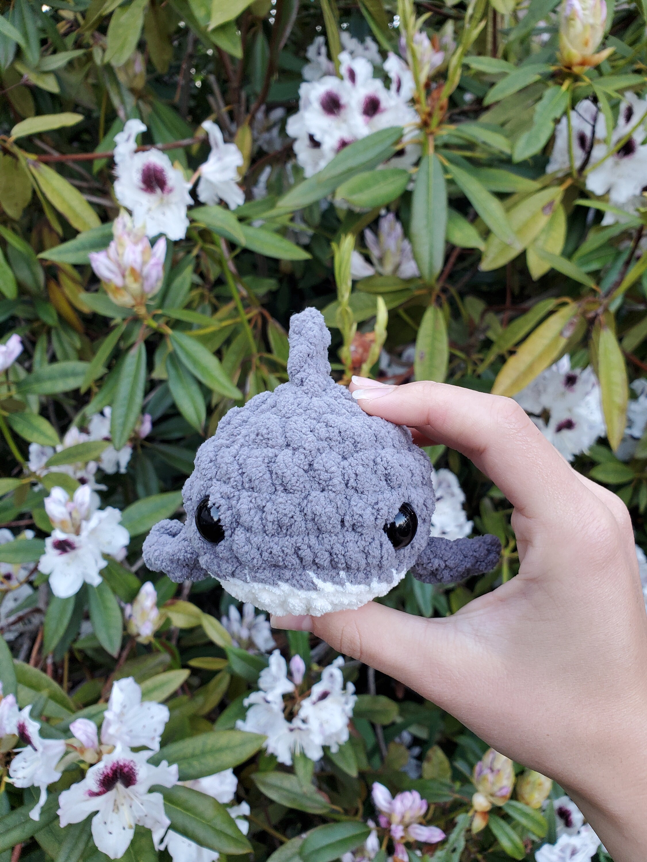 Crochet Shark, Cute Crochet Squishy Shark Plushie, Crochet Stuffed ...