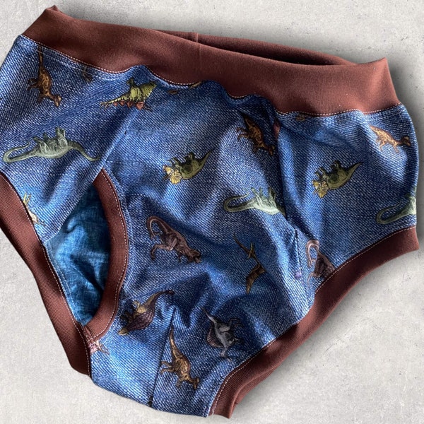 Mens Dinosaur Briefs - Etsy