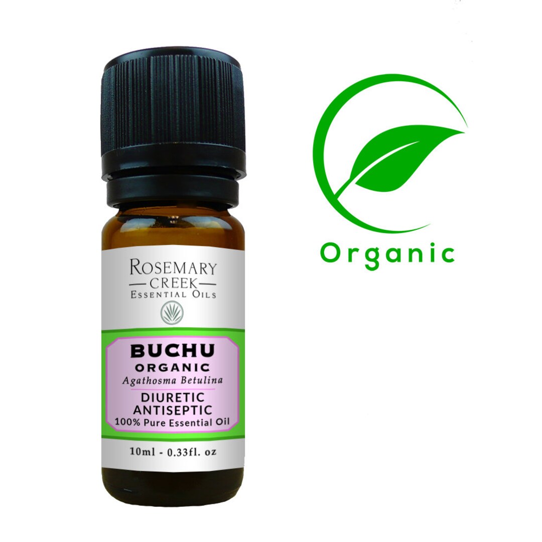 Organic Buchu Essential Oil Antiseptic and Diuretic 100% - Etsy