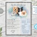 Dog Groomers Service Menu, Pet Grooming, Groomer Service List, Dog Spa ...
