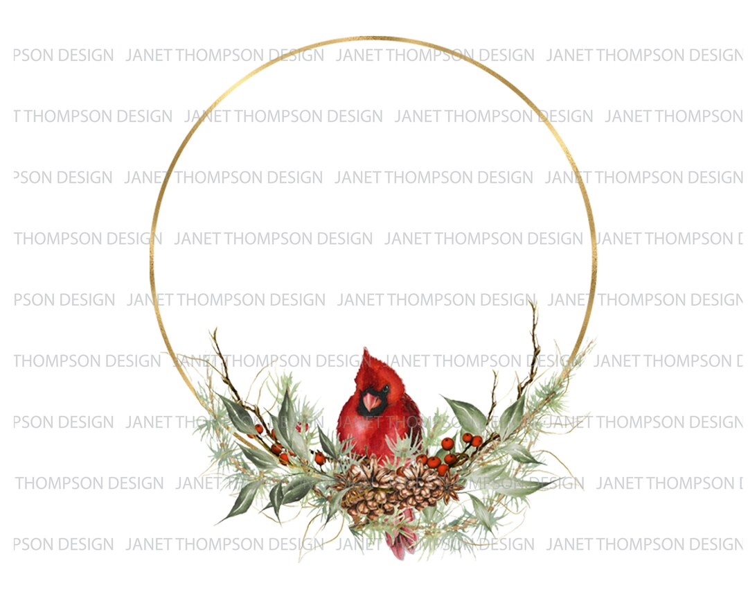 Red Cardinal in Nest, Nesting Cardinal on Gold Circle Frame, Bird ...