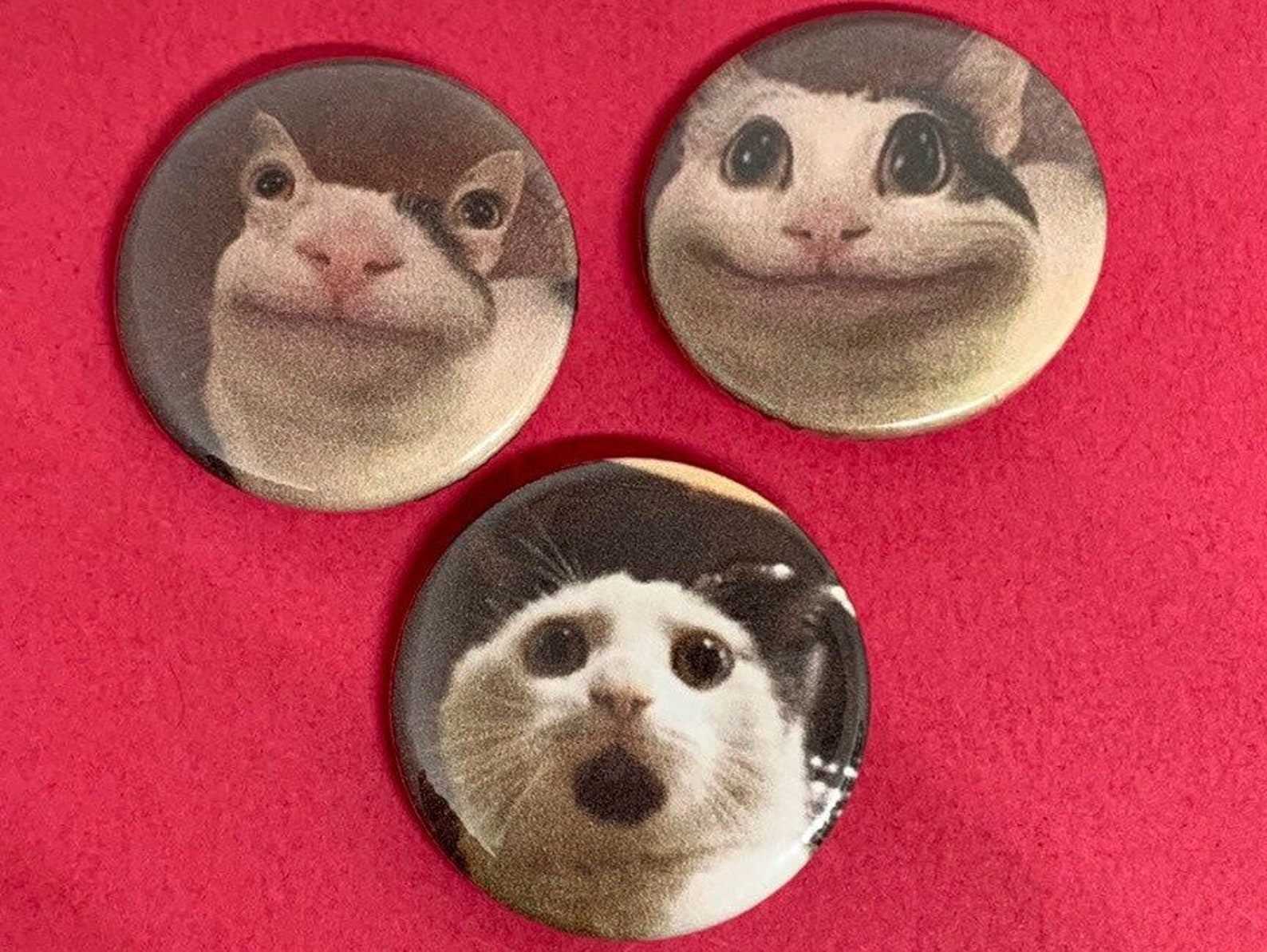 Set of 3 funny cat memes 25mm Button Pin Badges | Etsy