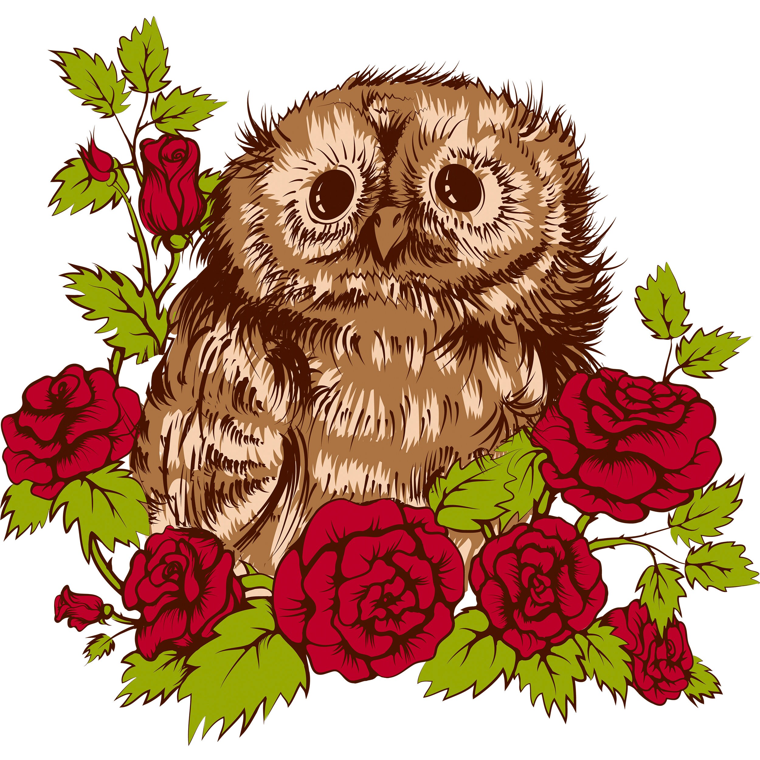 Instant Download, Owls, Printable, Digital Download, Owl, Clip Art - Etsy