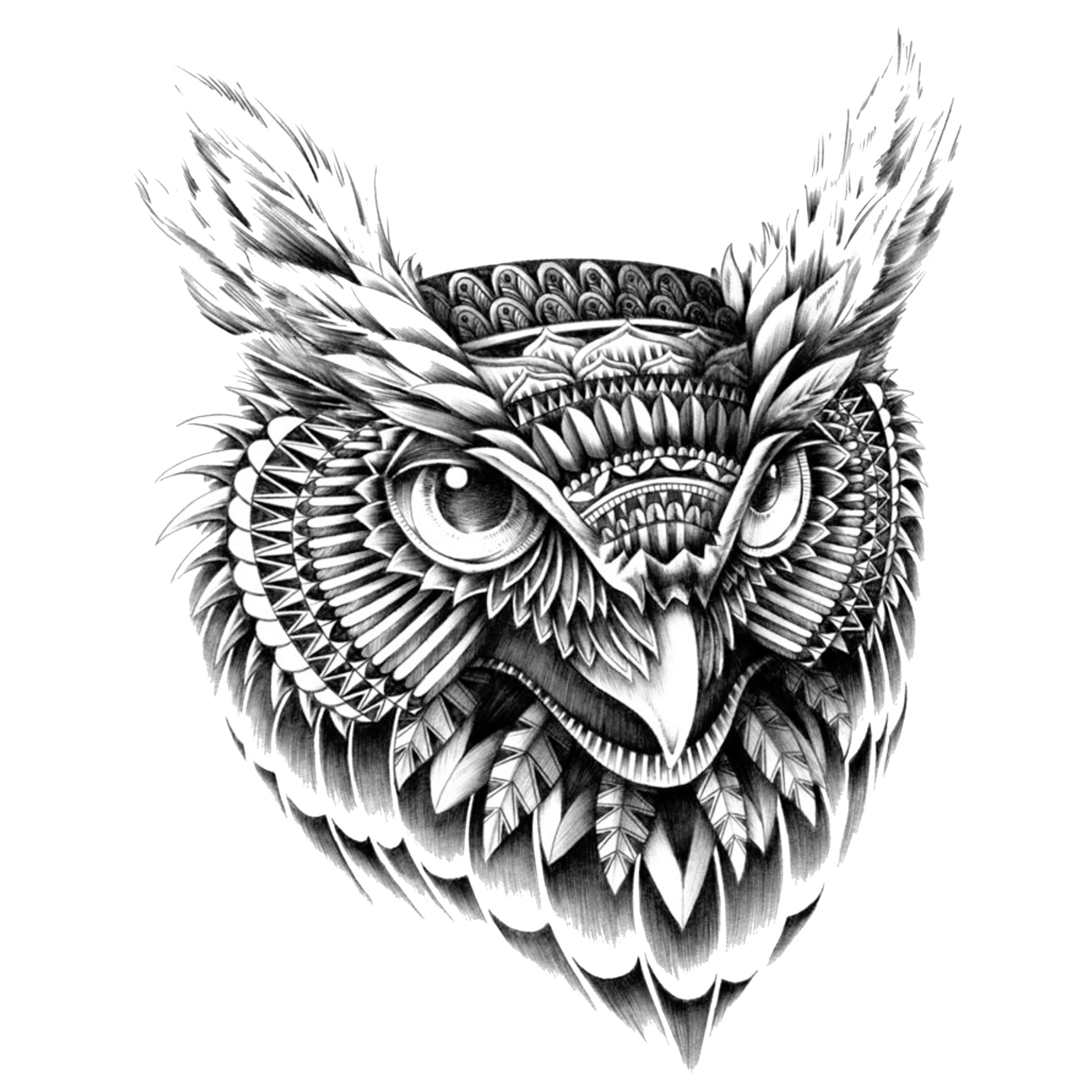 Instant Download, Owls, Printable, Digital Download, Owl, Clip Art - Etsy