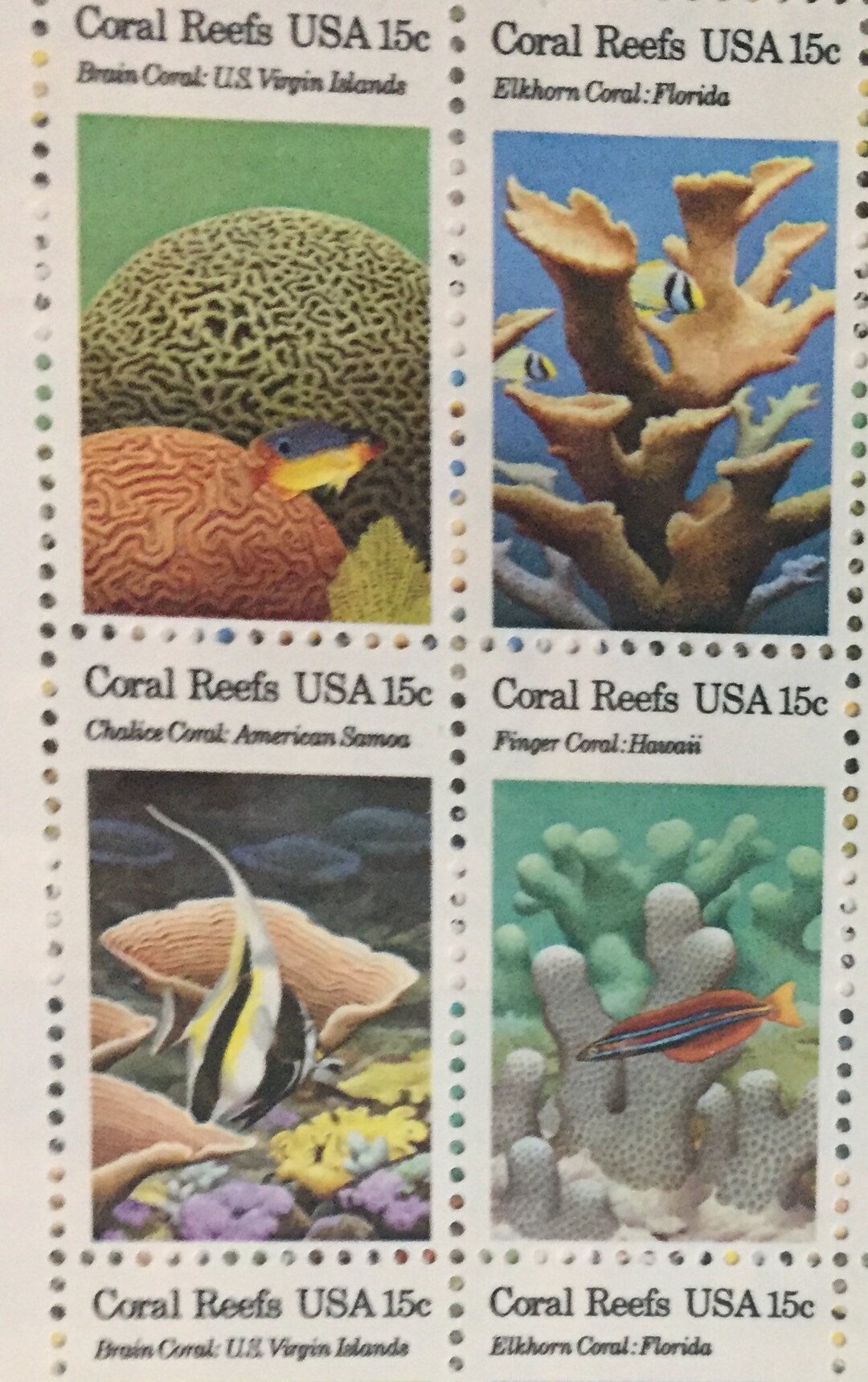 Coral Reef Mint Stamps - Etsy