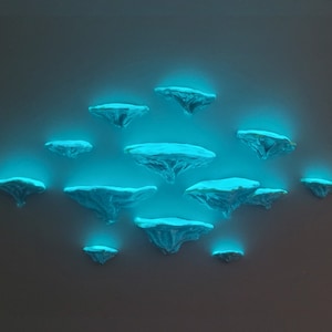 Glowing ***MITHRIL*** Shelf Mushroom Face Shroomies Prosthetics ...