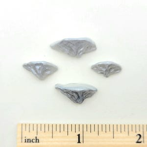 Glowing ***MITHRIL*** Shelf Mushroom Face Shroomies Prosthetics ...