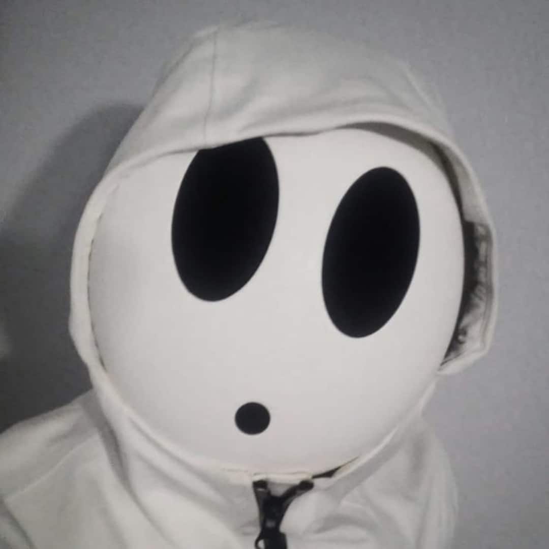 Shy Guy / Gal Mask 3D Printed DIY Kit - Etsy