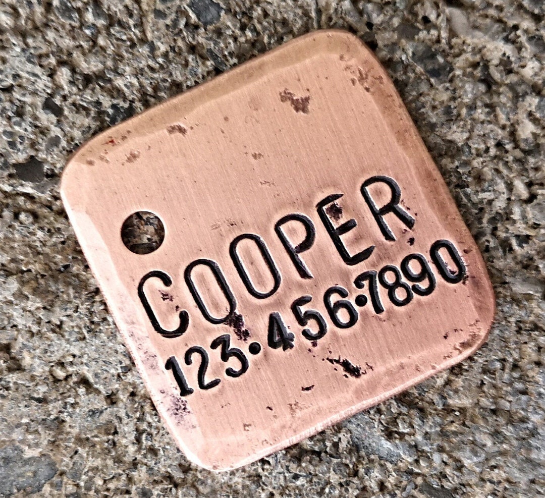 Dog Tag, Square Dog Tag | Dog Tags for Dogs, Dog Tags, Personalized Dog ...