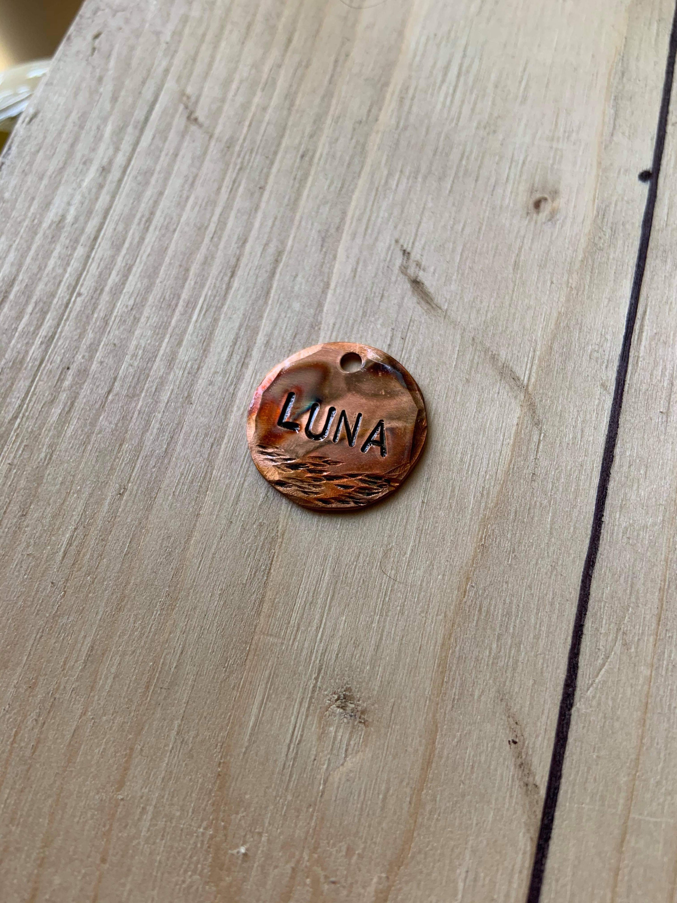 Luna Dog Tag Pet ID Tags Dog Tags for Dogs Dog Name Tag - Etsy