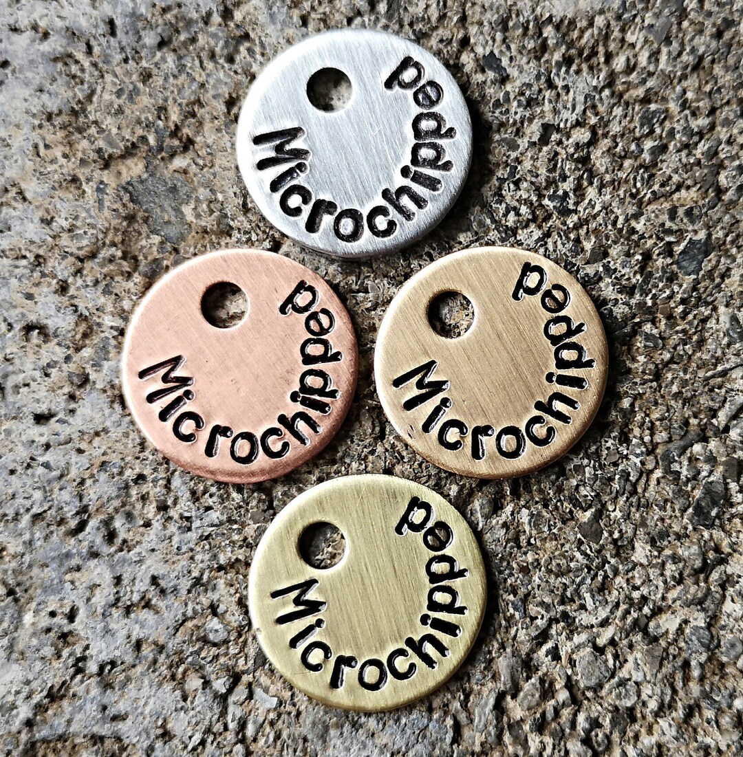 Small Dog Tag, Micro Chipped Dog Tag, Small Micro Chipped ID Tag, Dog ...