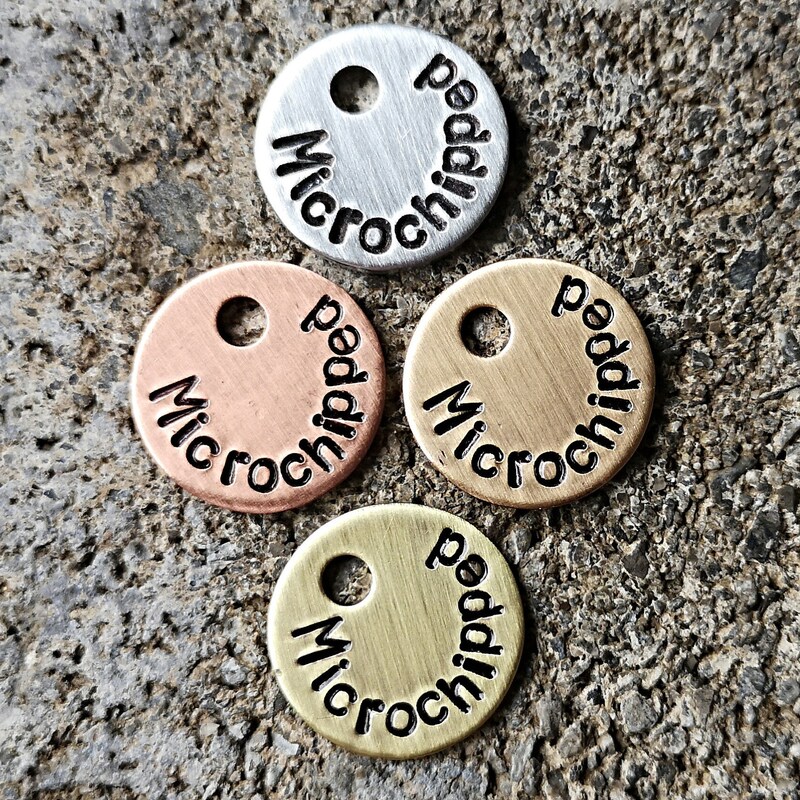 Small Dog Tag - Etsy