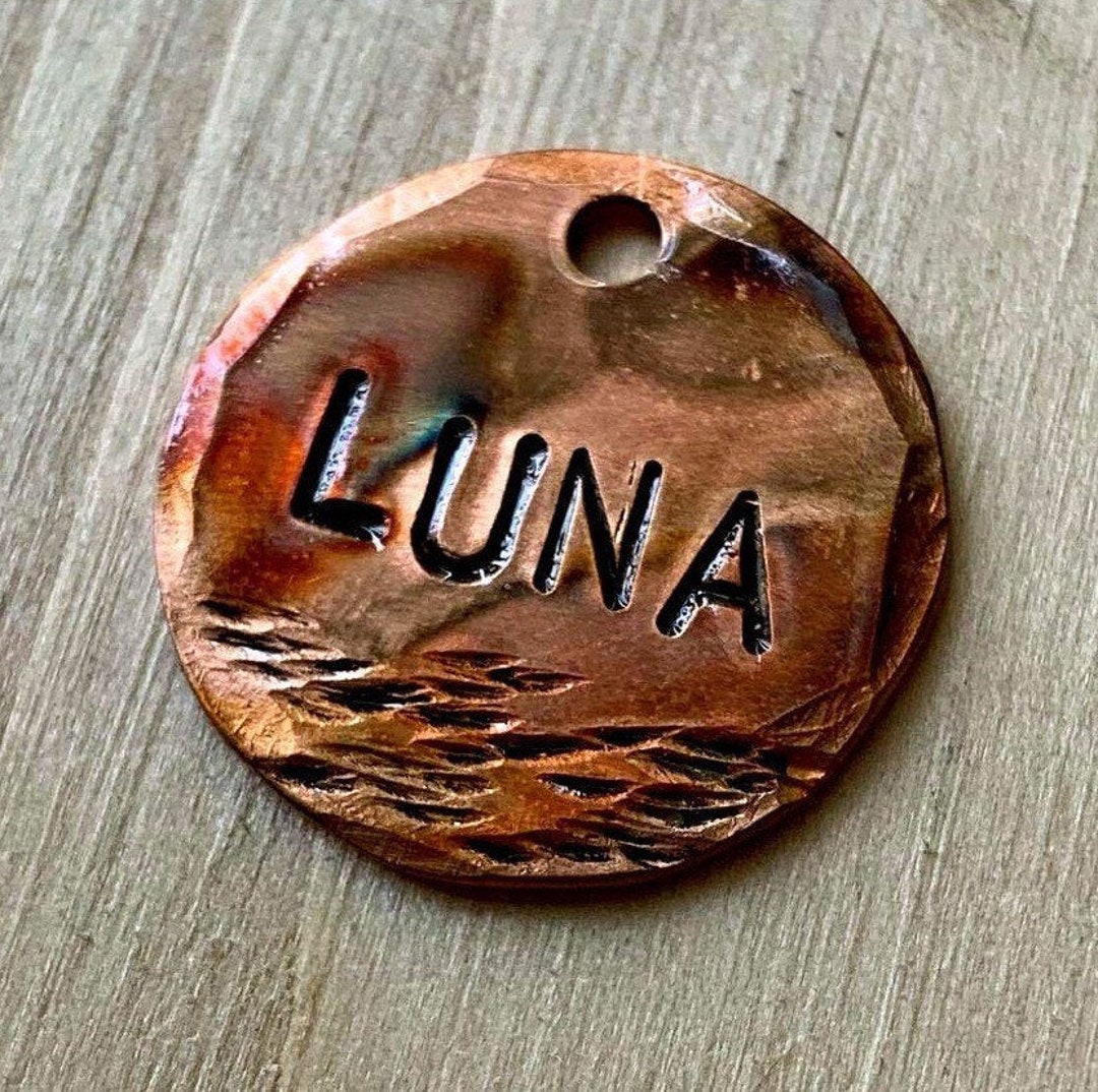 Luna Dog Tag, Pet ID Tags, Dog Tags for Dogs, Dog Name Tag, Custom Pet ...