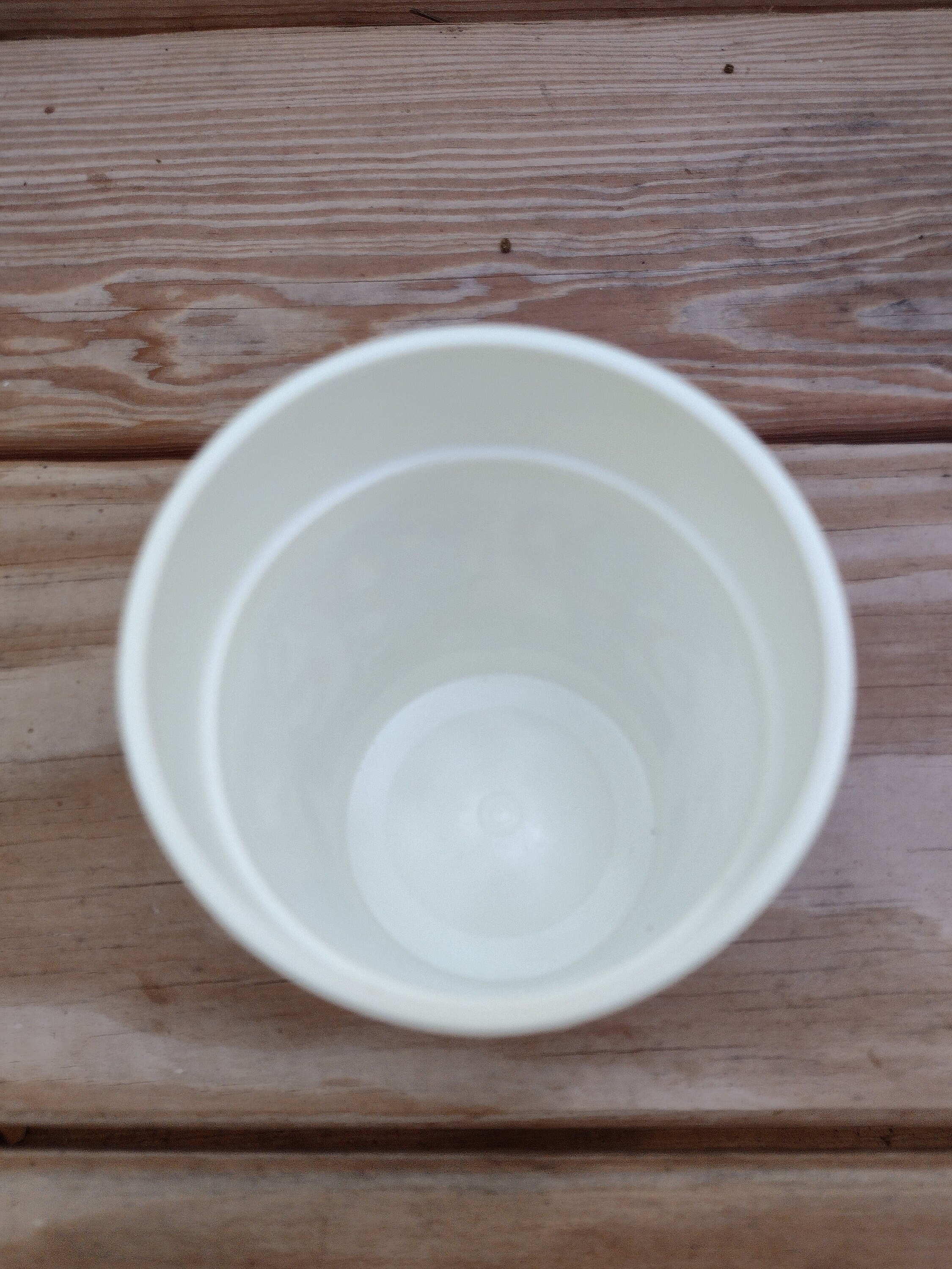 Shoney's Restaurant Kids Plastic Cup Shoney Bear Grandpa Penny Rita ...