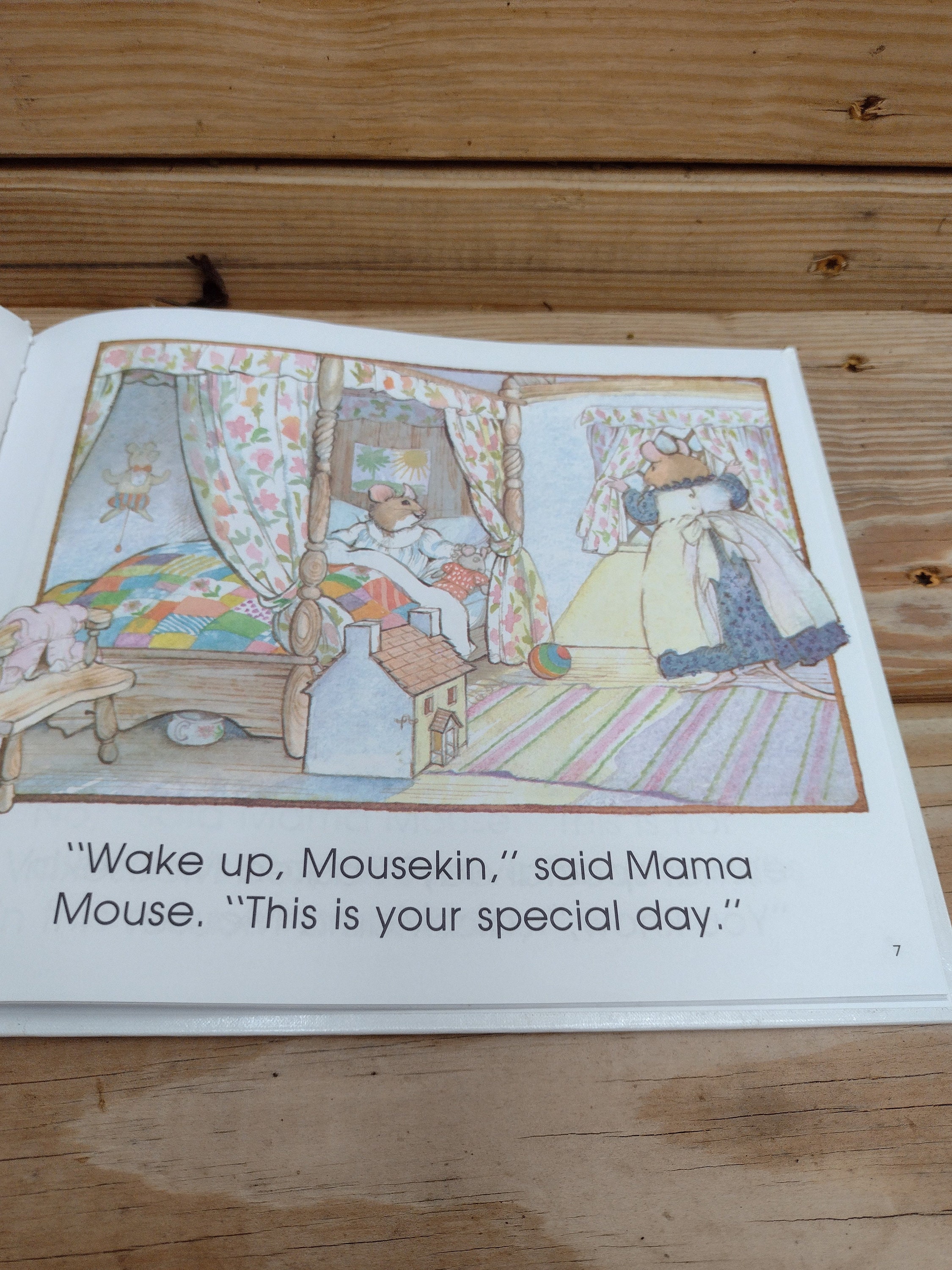 Magic Castle Reader Mousekin's Special Day A Book About - Etsy
