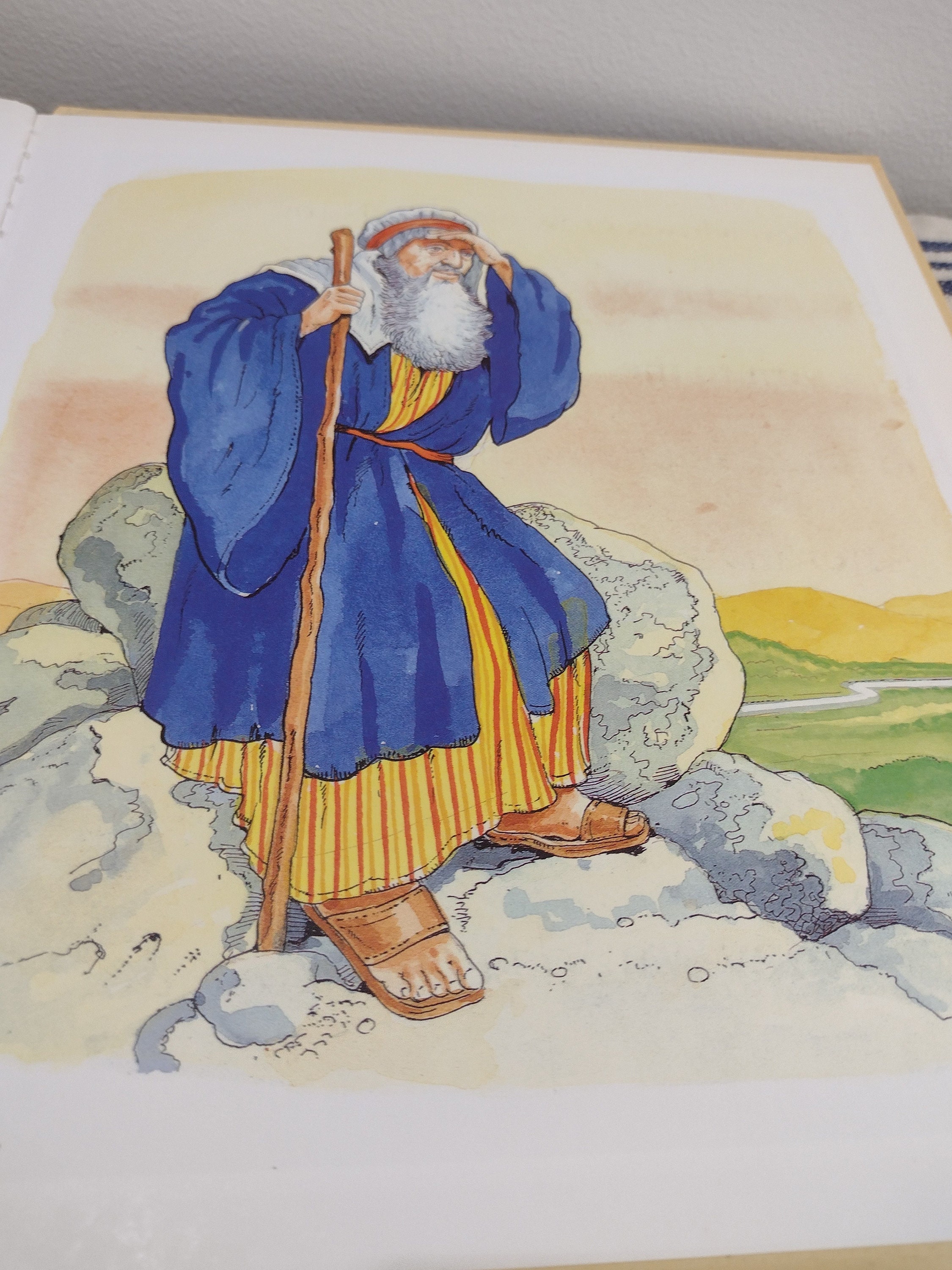 See and Say Storybook Rebus Style Moses in the Busrushes Read Along ...