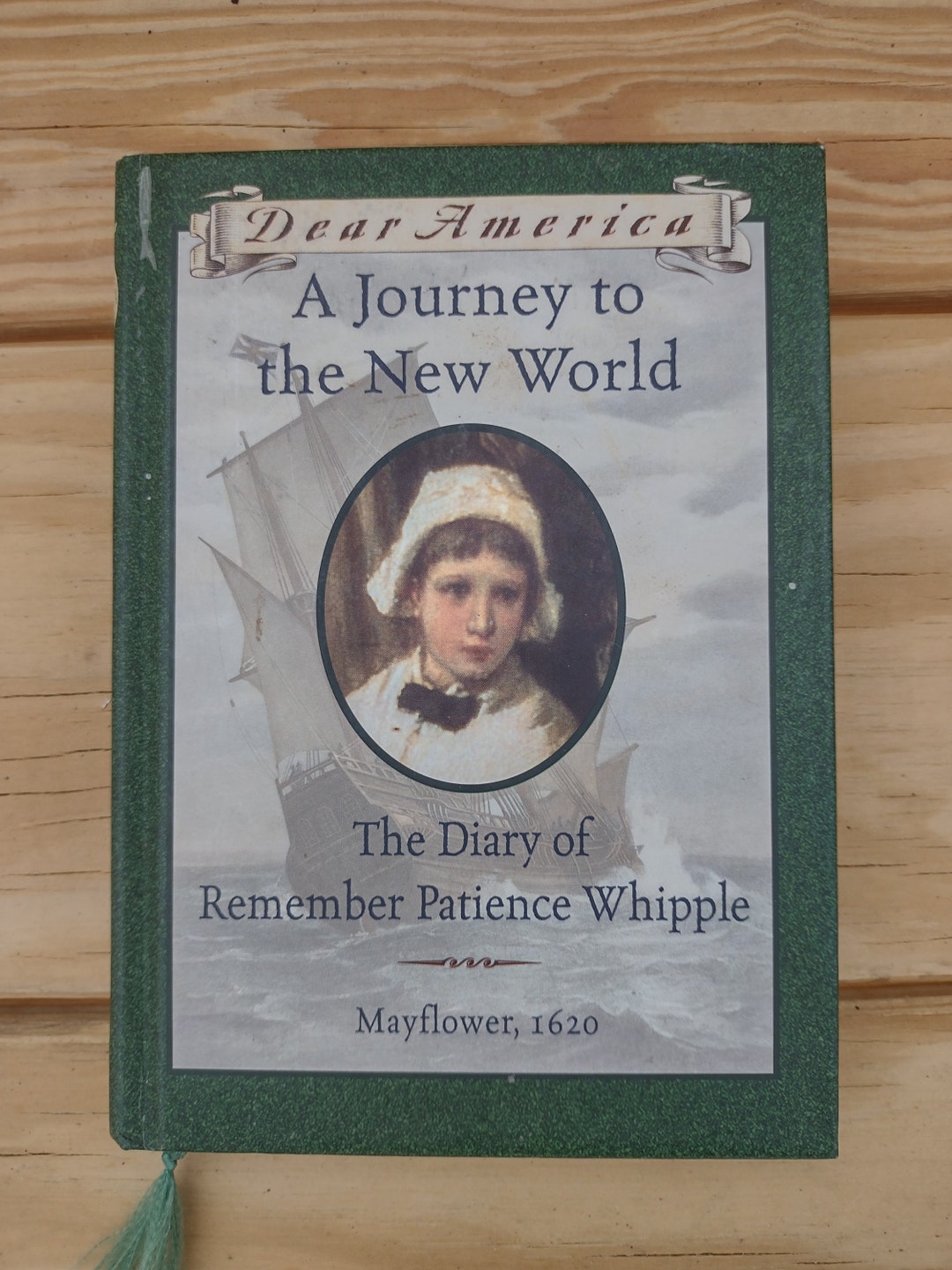 Dear America A Journey to the New World Diary of Remember Patience ...