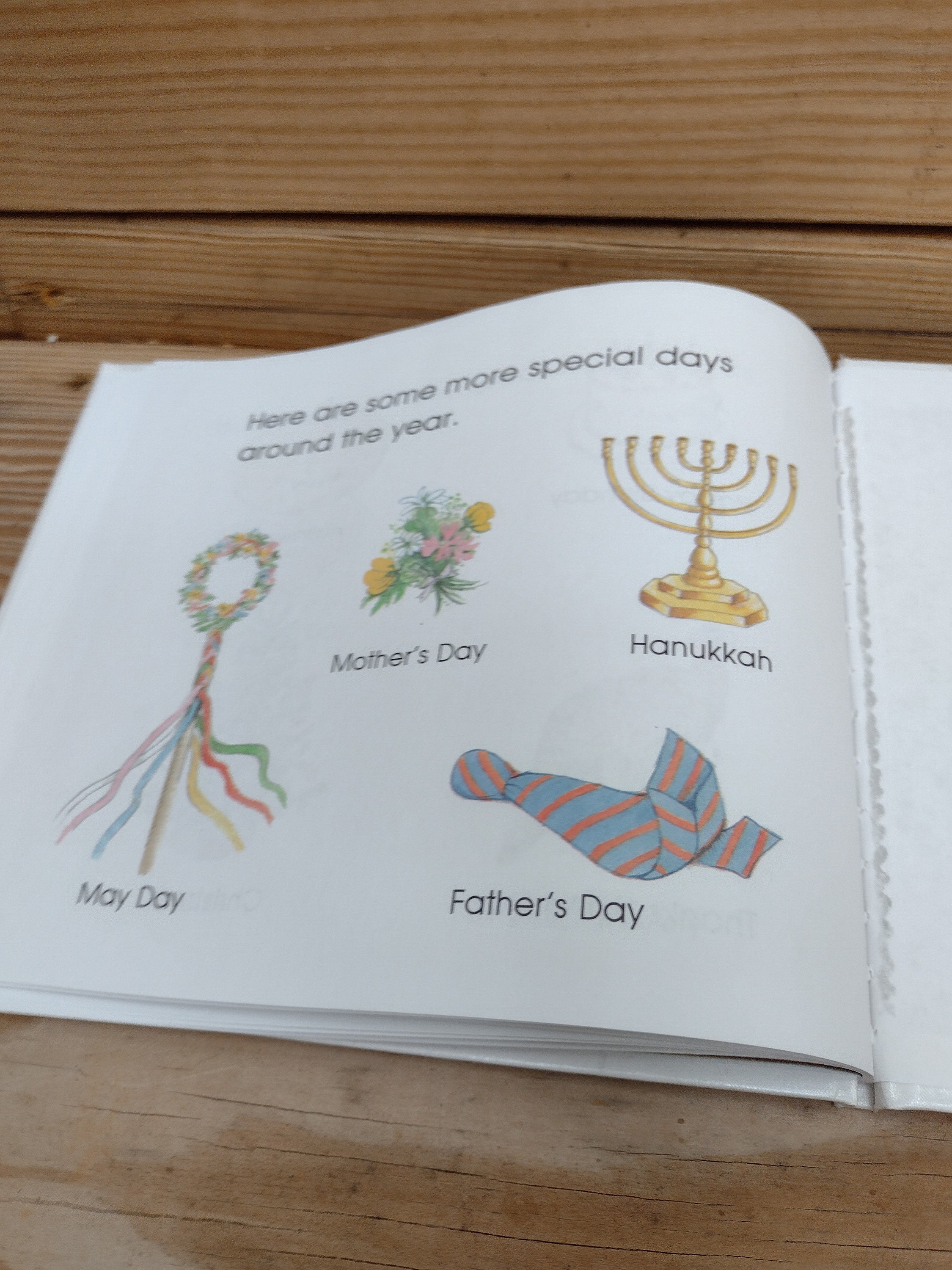 Magic Castle Reader Mousekin's Special Day A Book About - Etsy