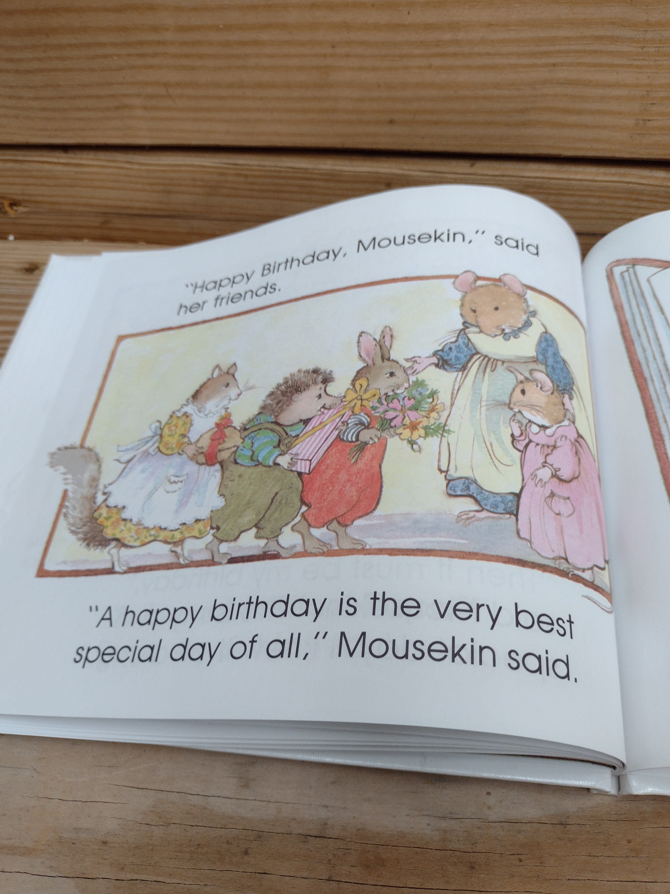 Magic Castle Reader Mousekin's Special Day A Book About - Etsy