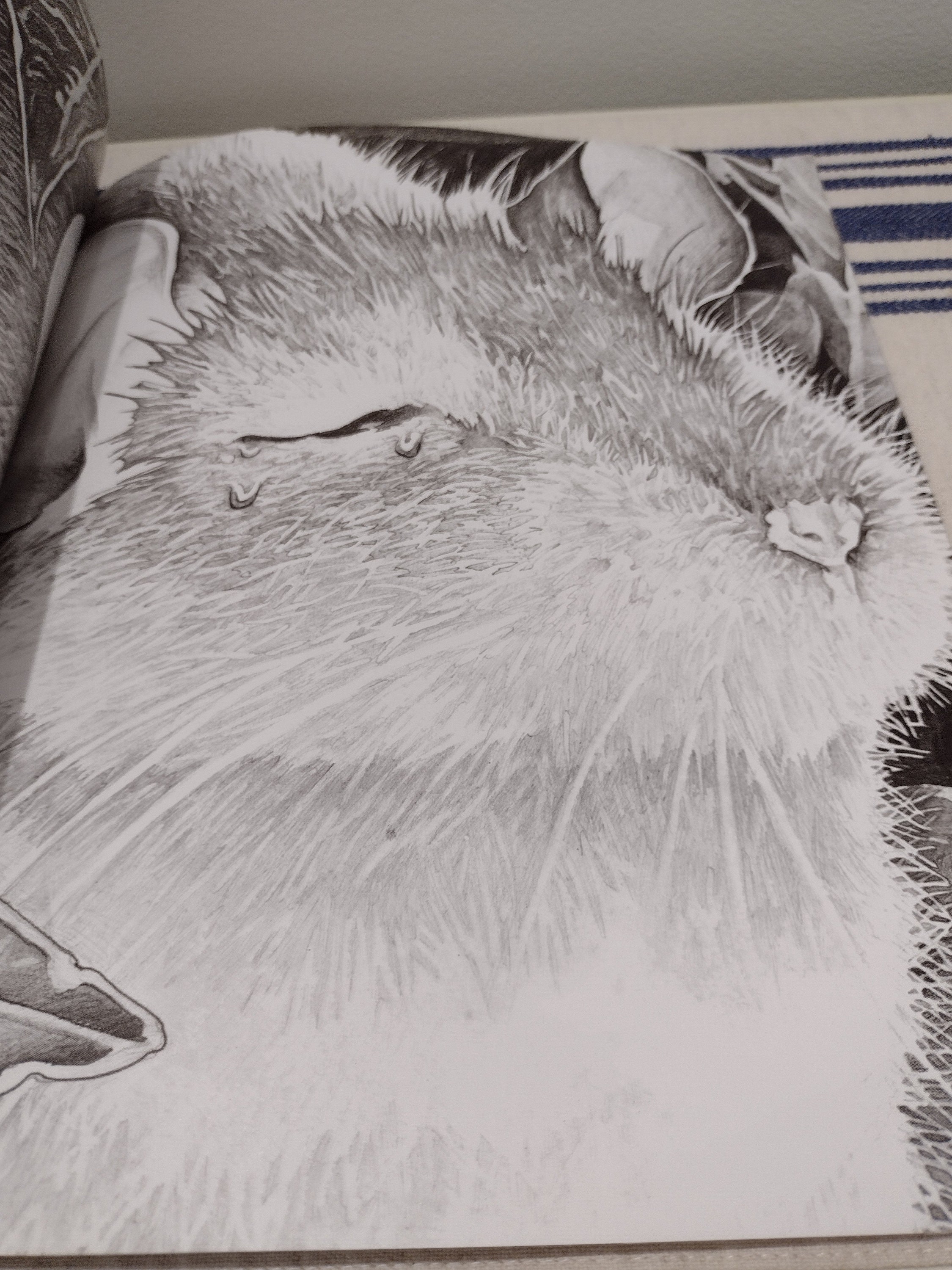 The Story of Jumping Mouse A Native American Legend Retold ...