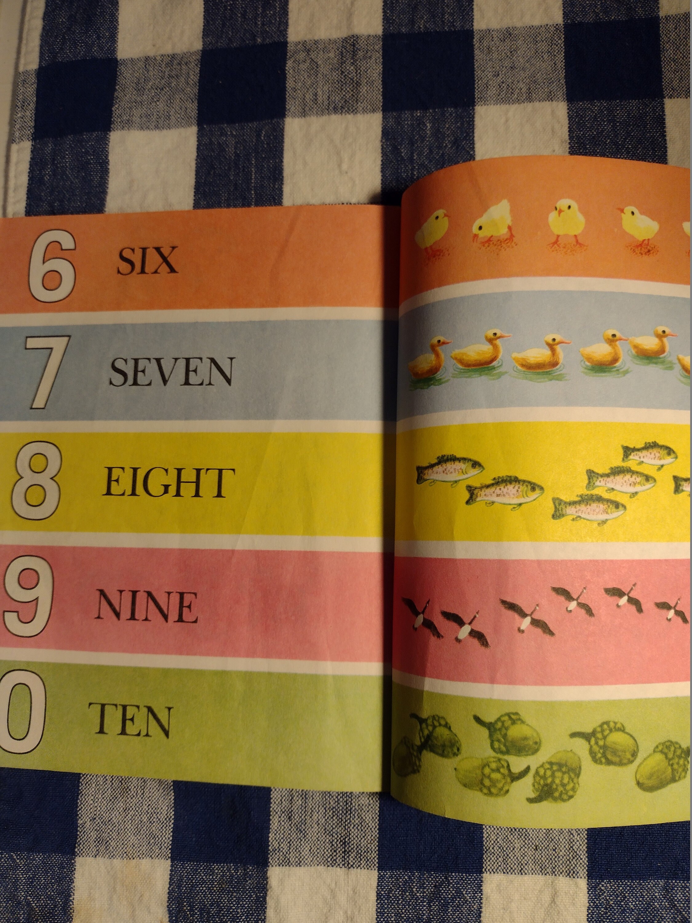 A Little Golden Book My First Counting Book Pictures by Garth Williams ...