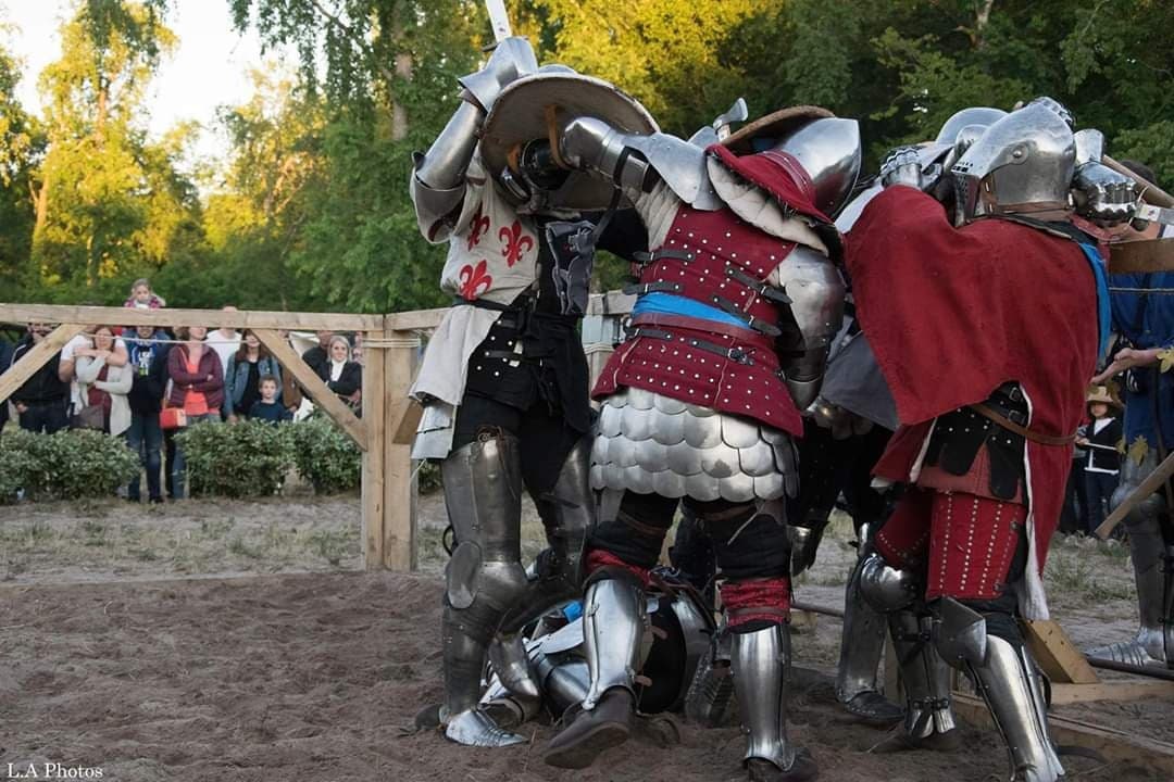 Knight's Medieval Scaly Skirt. for Larp, Cosplay Costumes, SCA, Buhurt ...