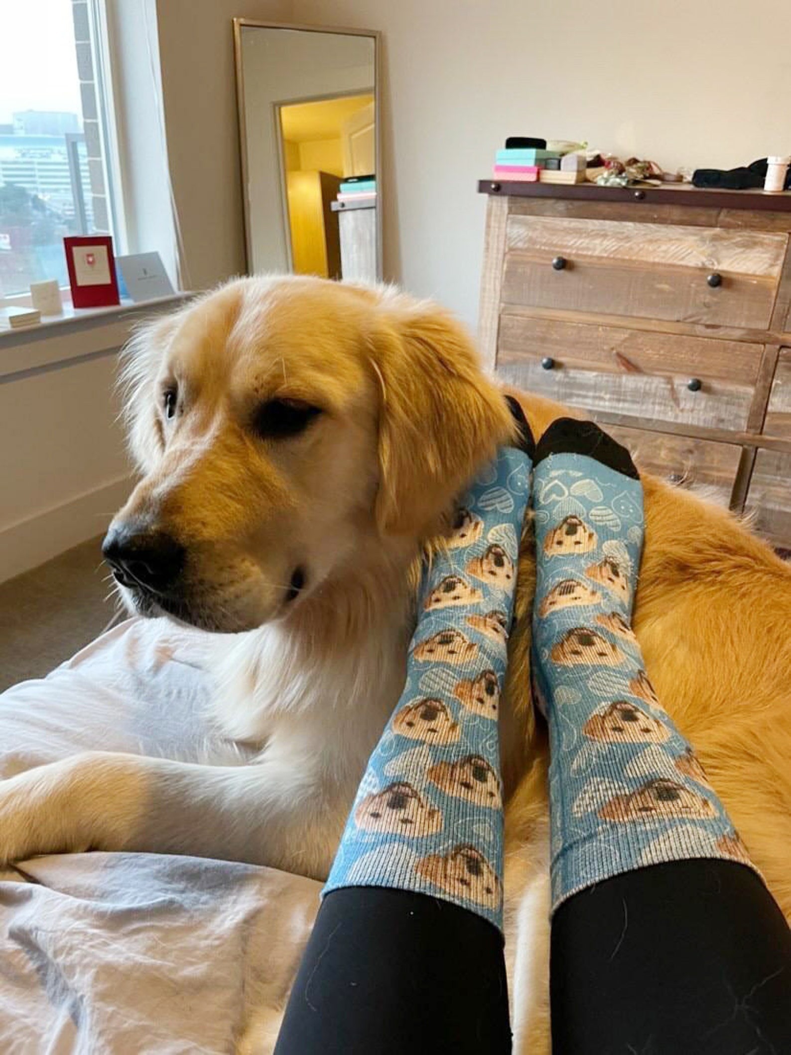 Personalizado perro cara calcetines Doodle amor / calcetines - Etsy España