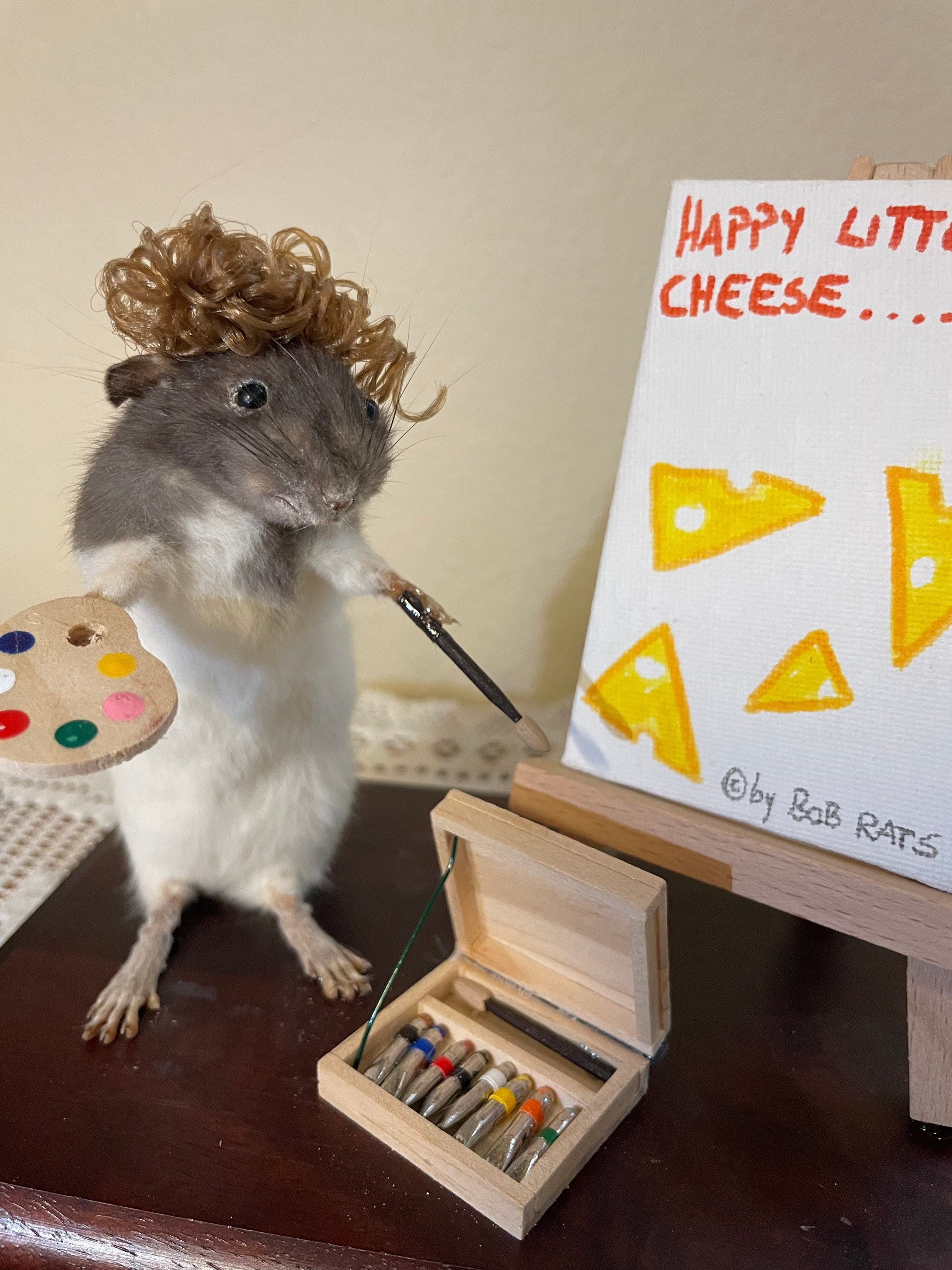 Taxidermy Rat Bob Rats | Etsy