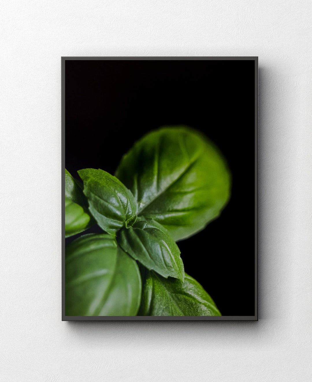 BASIL Fine Art Food Photography for Wall Decor in Your Kitchen or ...