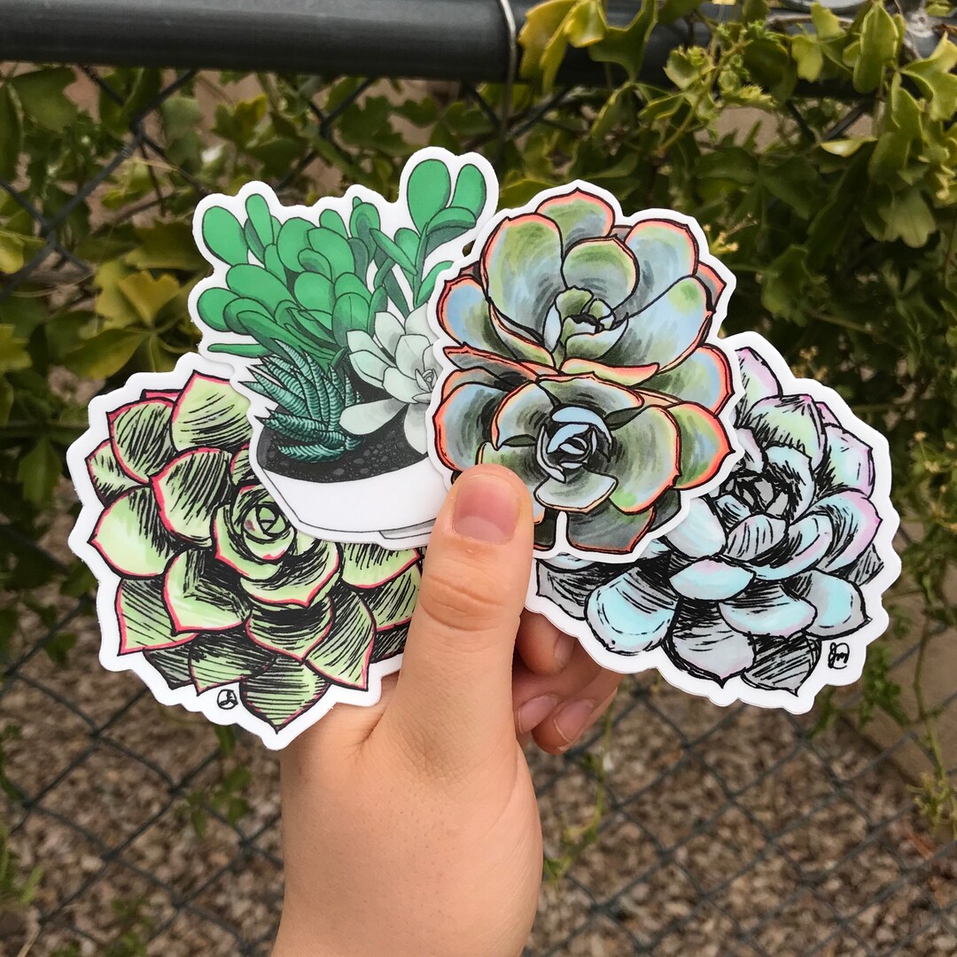 Succulent Sticker Pack, Plant Decals, Potted Plants - Etsy