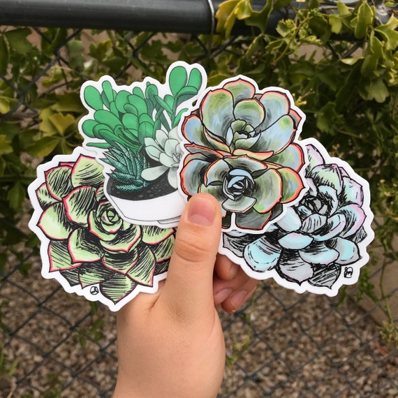 Succulent Sticker Pack Plant Decals Potted Plants - Etsy