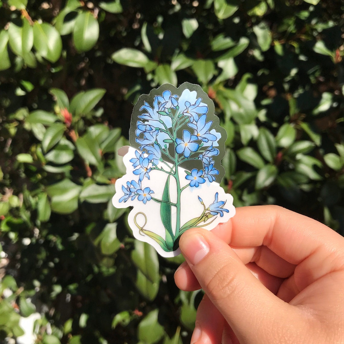 Blue Flower Sticker Clear Sticker | Etsy