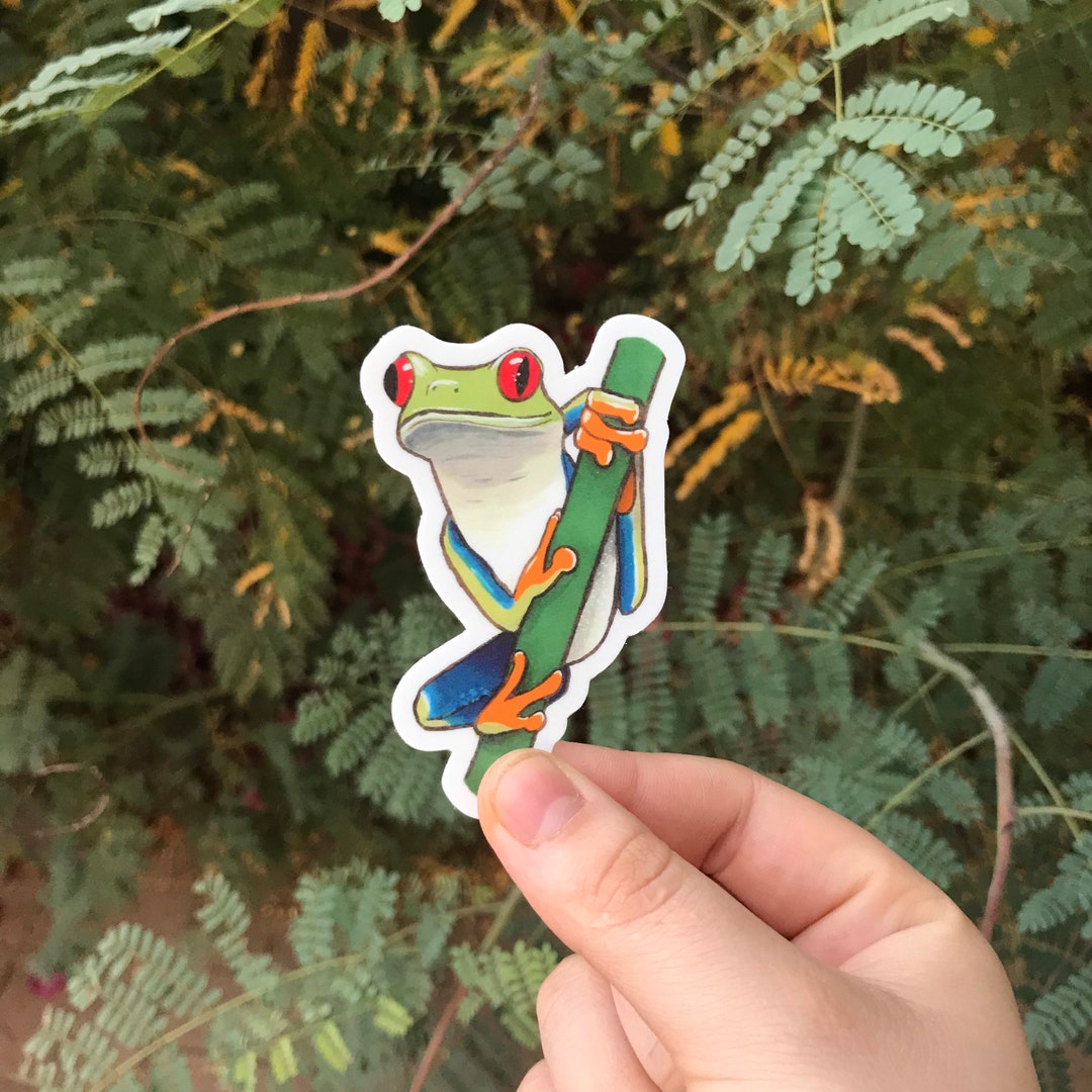 Red Eyed Tree Frog Sticker, Rain Forest Frog, Deal, Bumper Sticker - Etsy