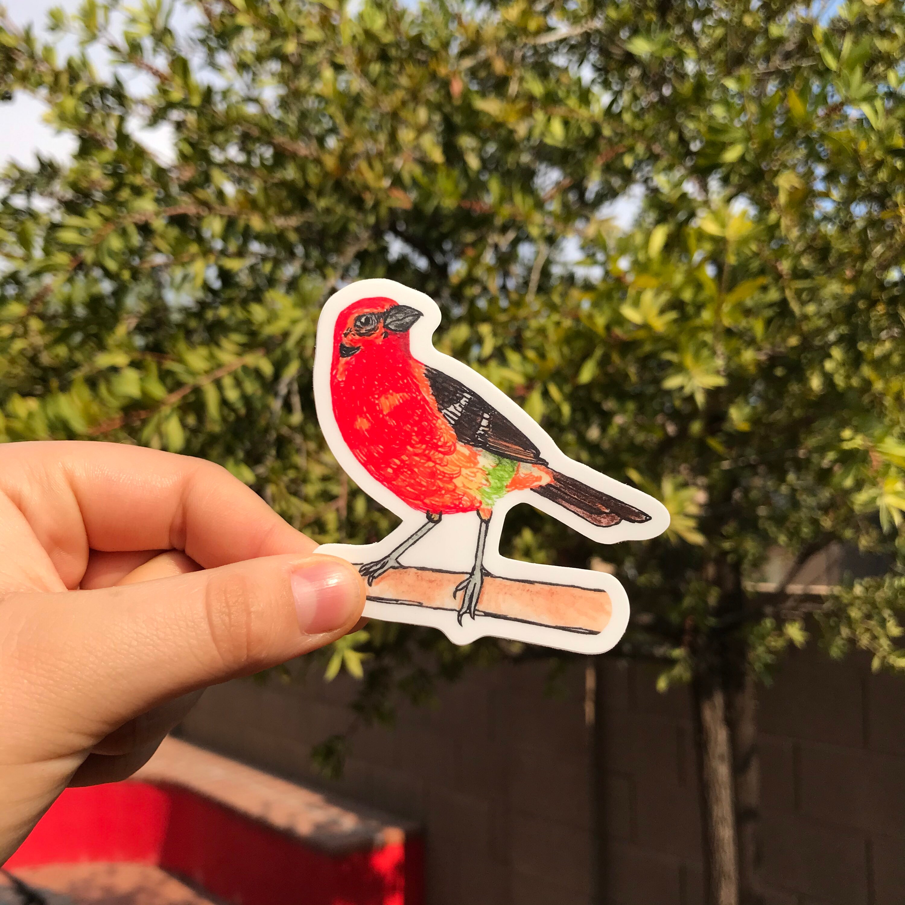 Flame-colored Tanager Sticker Red Bird Sticker Laptop Decal | Etsy