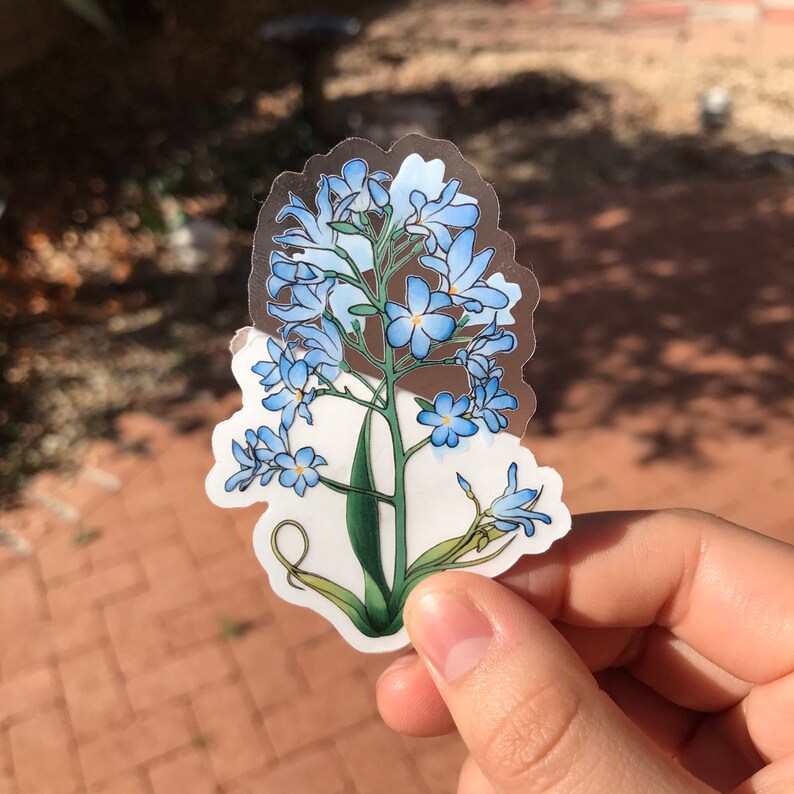 Blue Flower Sticker Clear Sticker | Etsy