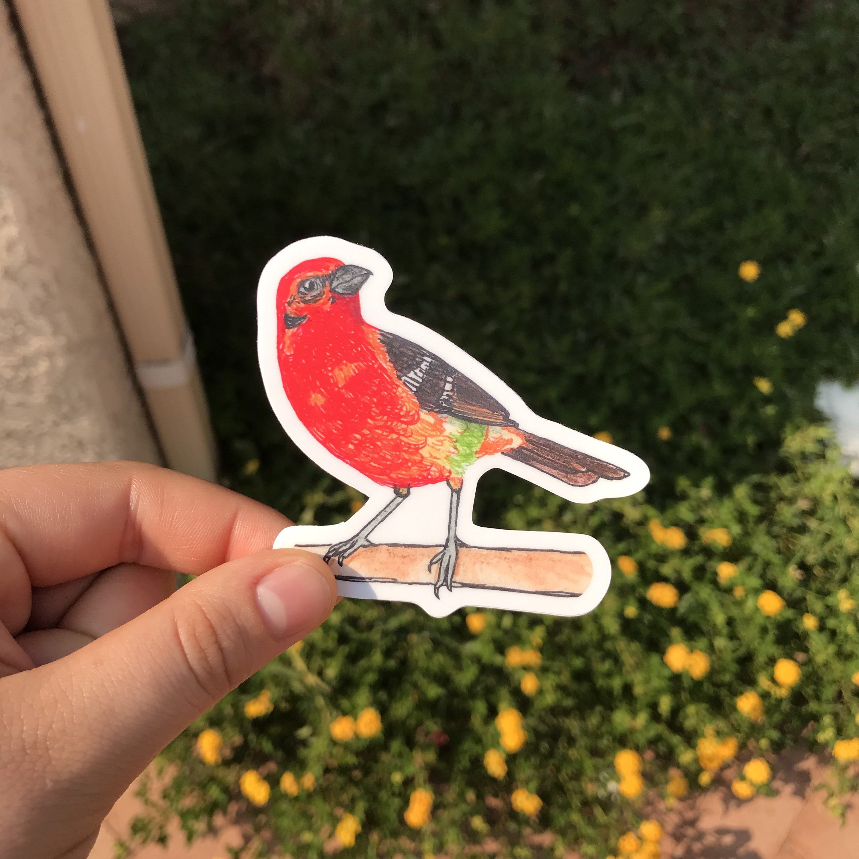 Flame-colored Tanager Sticker Red Bird Sticker Laptop Decal | Etsy