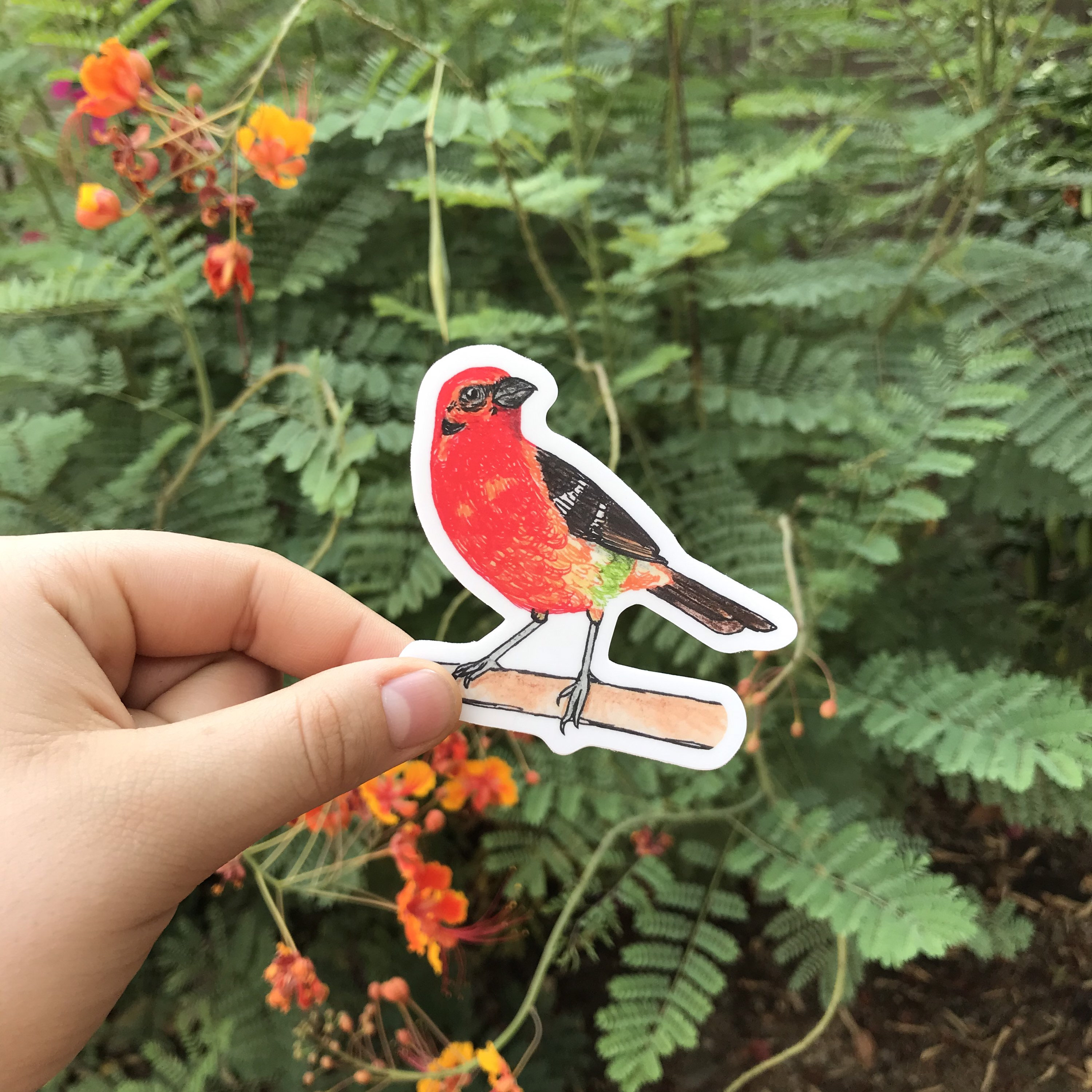 Flame-colored Tanager Sticker Red Bird Sticker Laptop Decal | Etsy