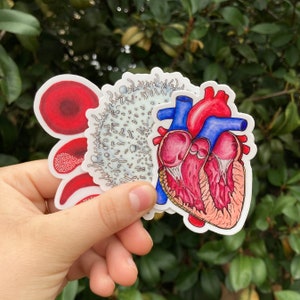 Sickle Cell Anemia Sticker, Red Blood Cell Sticker, Decal, Clear ...