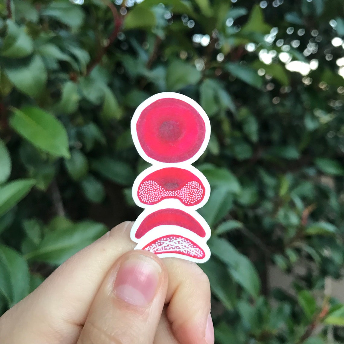 Sickle Cell Anemia Sticker Red Blood Cell Sticker Decal | Etsy